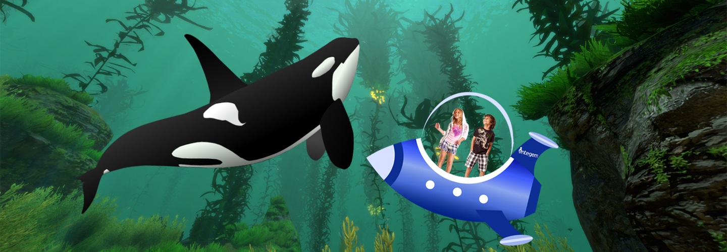 AR Coding & Nature Exploration STEM Camp for Kids 8-10